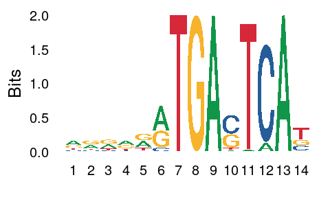 JASPAR - JUN(var.2) - MA0489.1 - profile summary